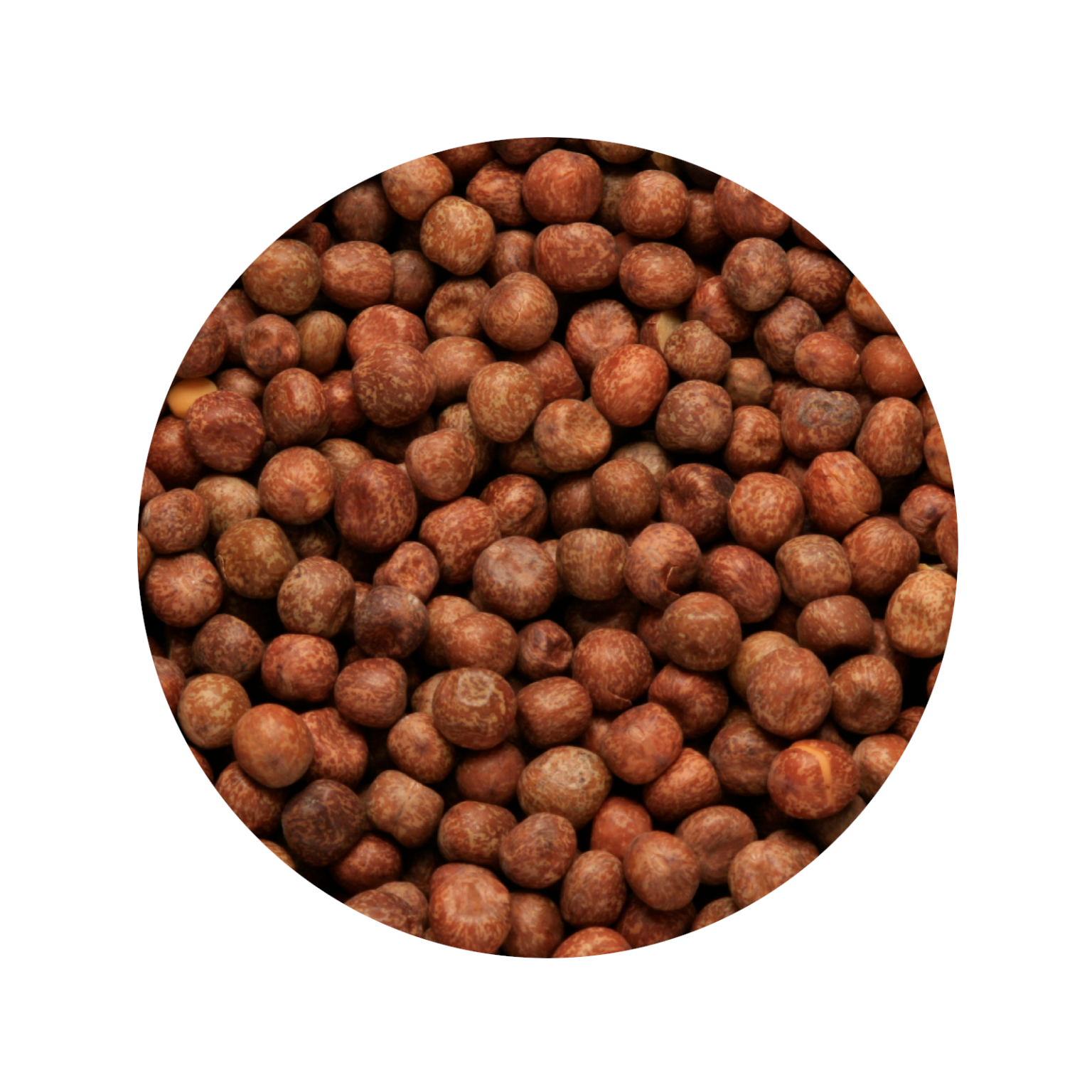 Maple Peas 25kg - Bait Superstore