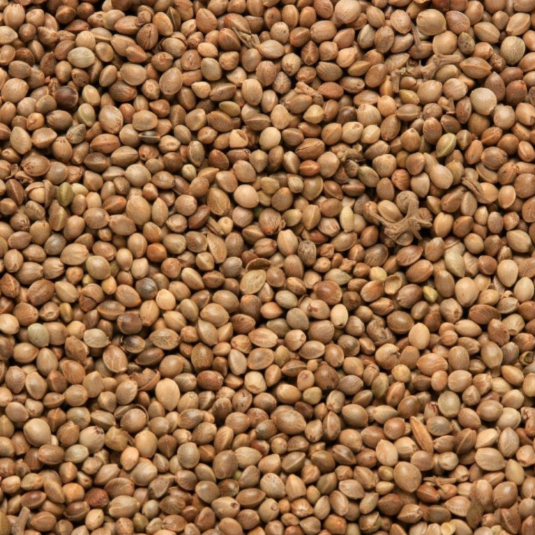 Copdock Mill Baits & Fishing Supplies - Buy Online