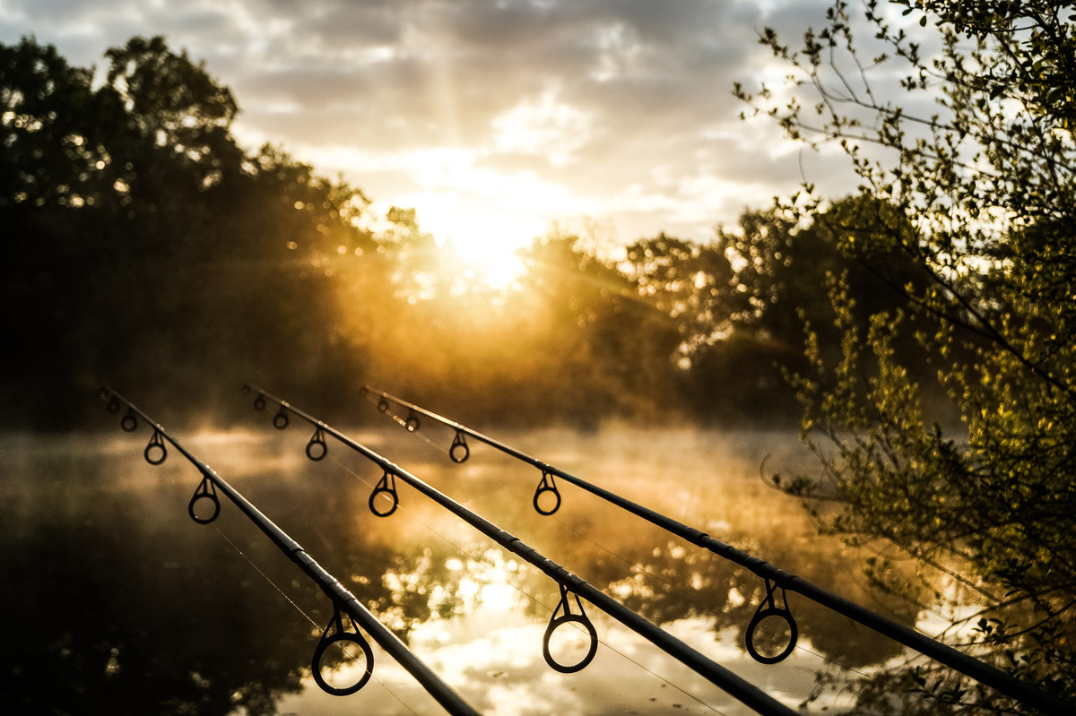 The Ultimate Fishing Bait Guide for Different Water Conditions - Bait ...